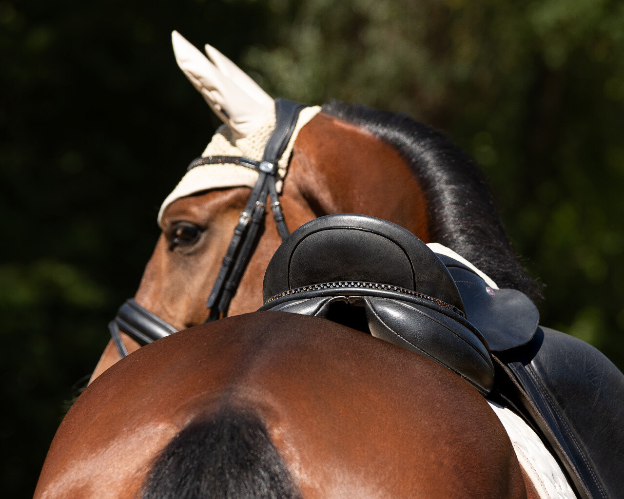 Zadel sierraad - Zalda