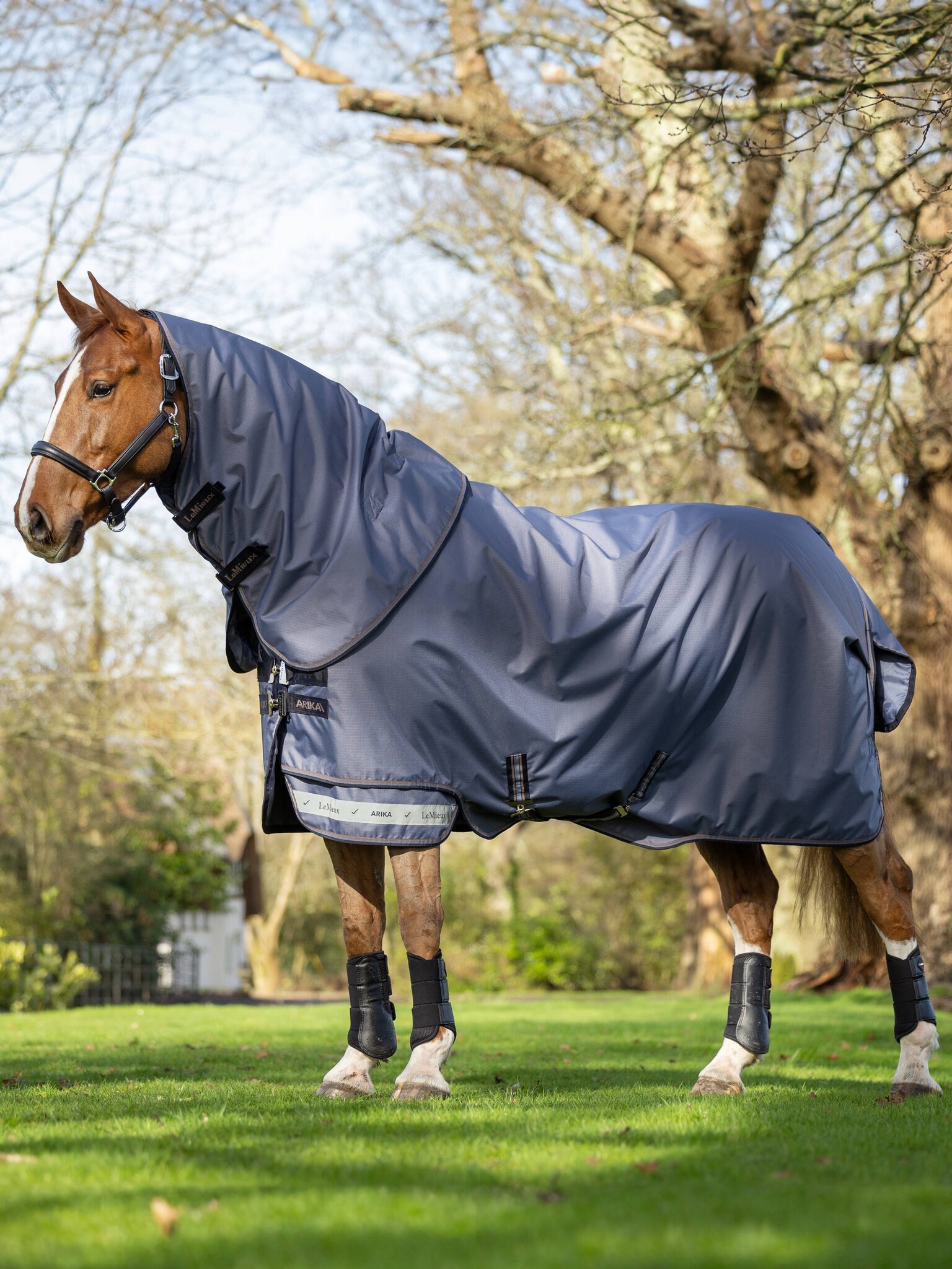 LM 24SS ArikaDeken 600D Ripstop 50g Turnout Rug - Zalda Equestrian