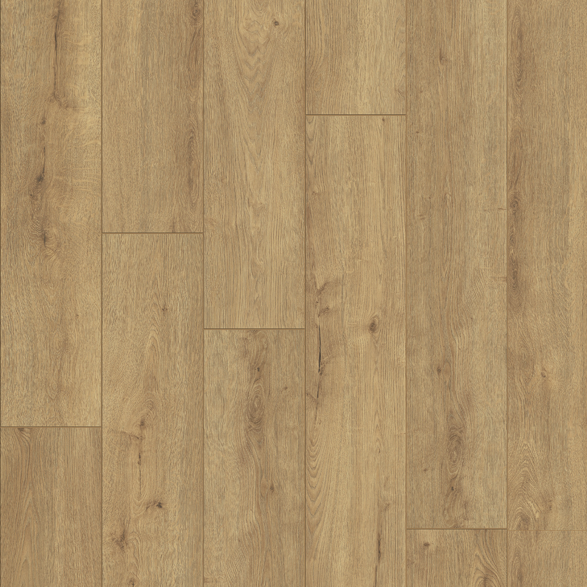 Meister LD 250 Eik Champagne - Vloerenvisie voor vloeren en toebehoren