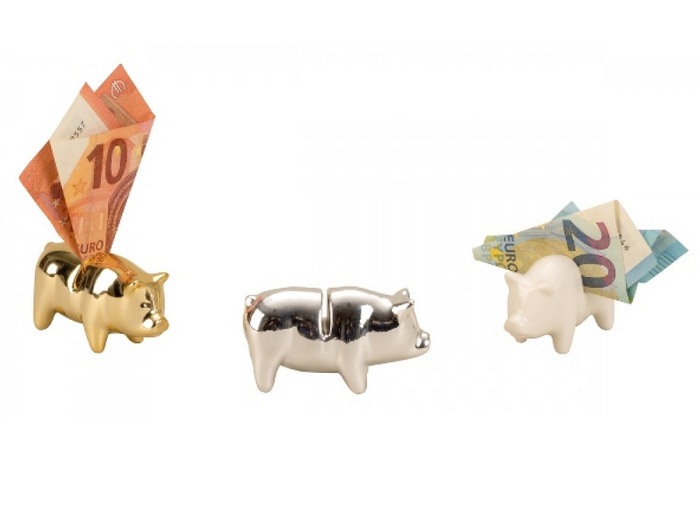 Geld geluksvarken - Spirituele winkel