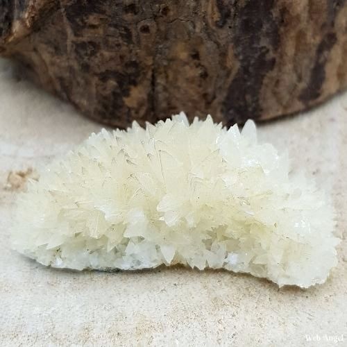 Calciet Hondentand mini cluster - Spirituele winkel