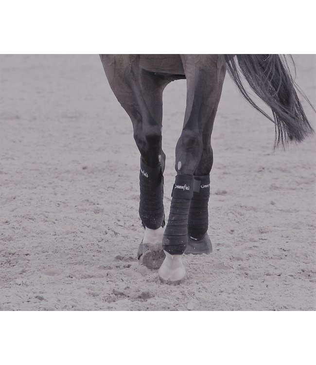 Bandes de travail / bande polo - Greenfield Selection