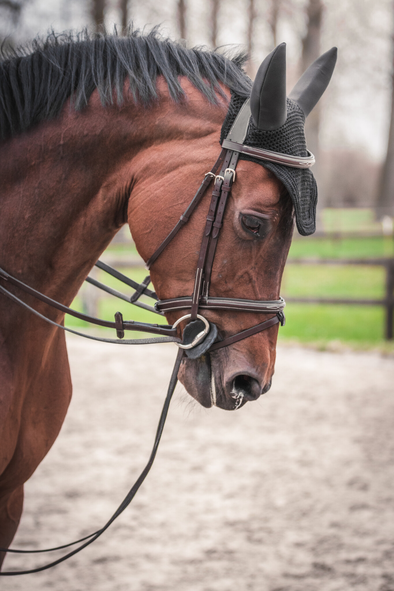 R4 - Draw reins - Greenfield Selection