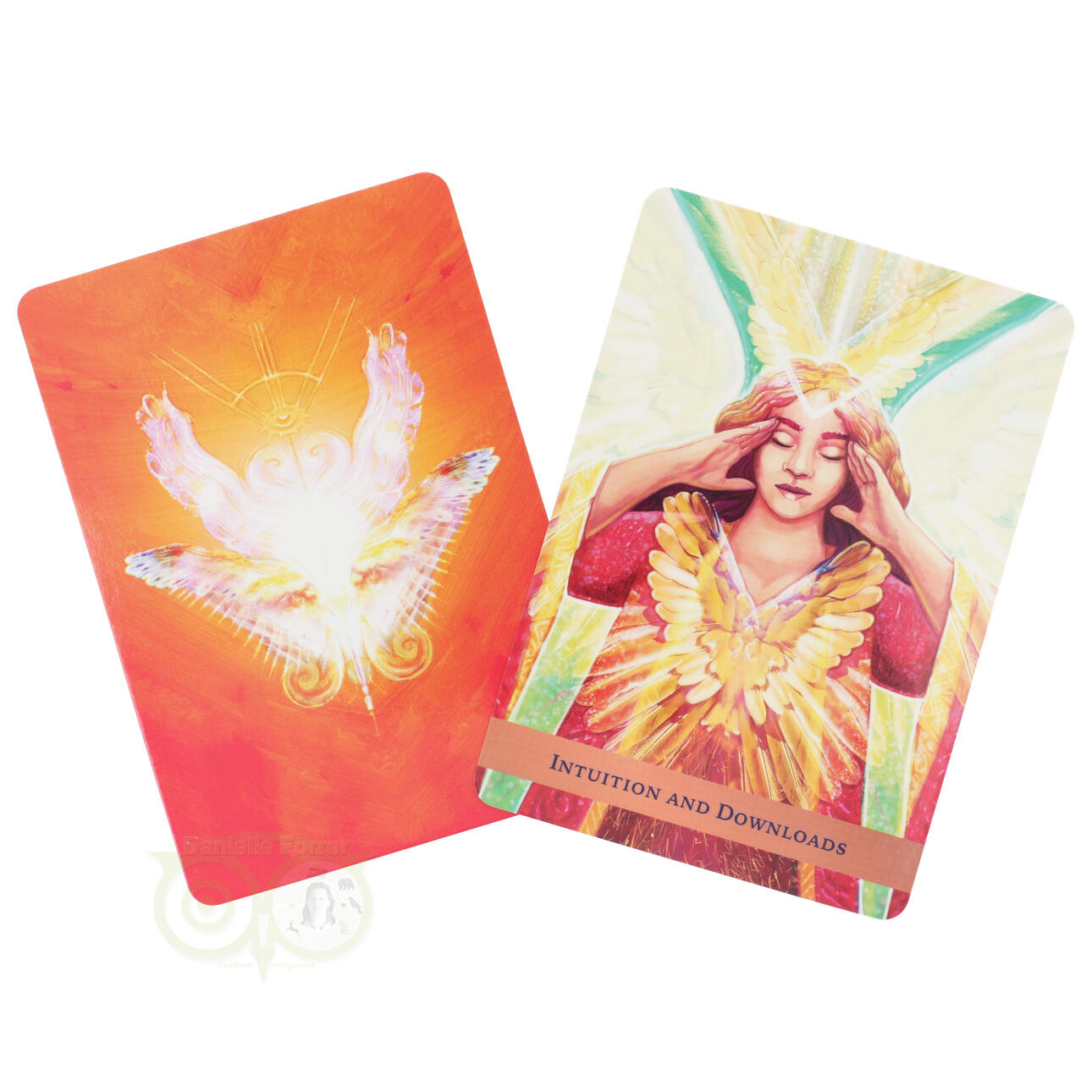 The Angel Guide Oracle - Kyle Gray | A 44-card deck and guidebook ...