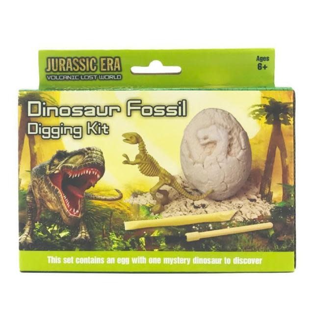 Dinosaur Fossil Digging Kit - Celebrations and Toys