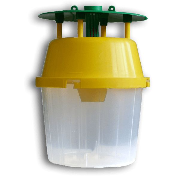 Brimex Buxusmot Feromoonval - Brimex