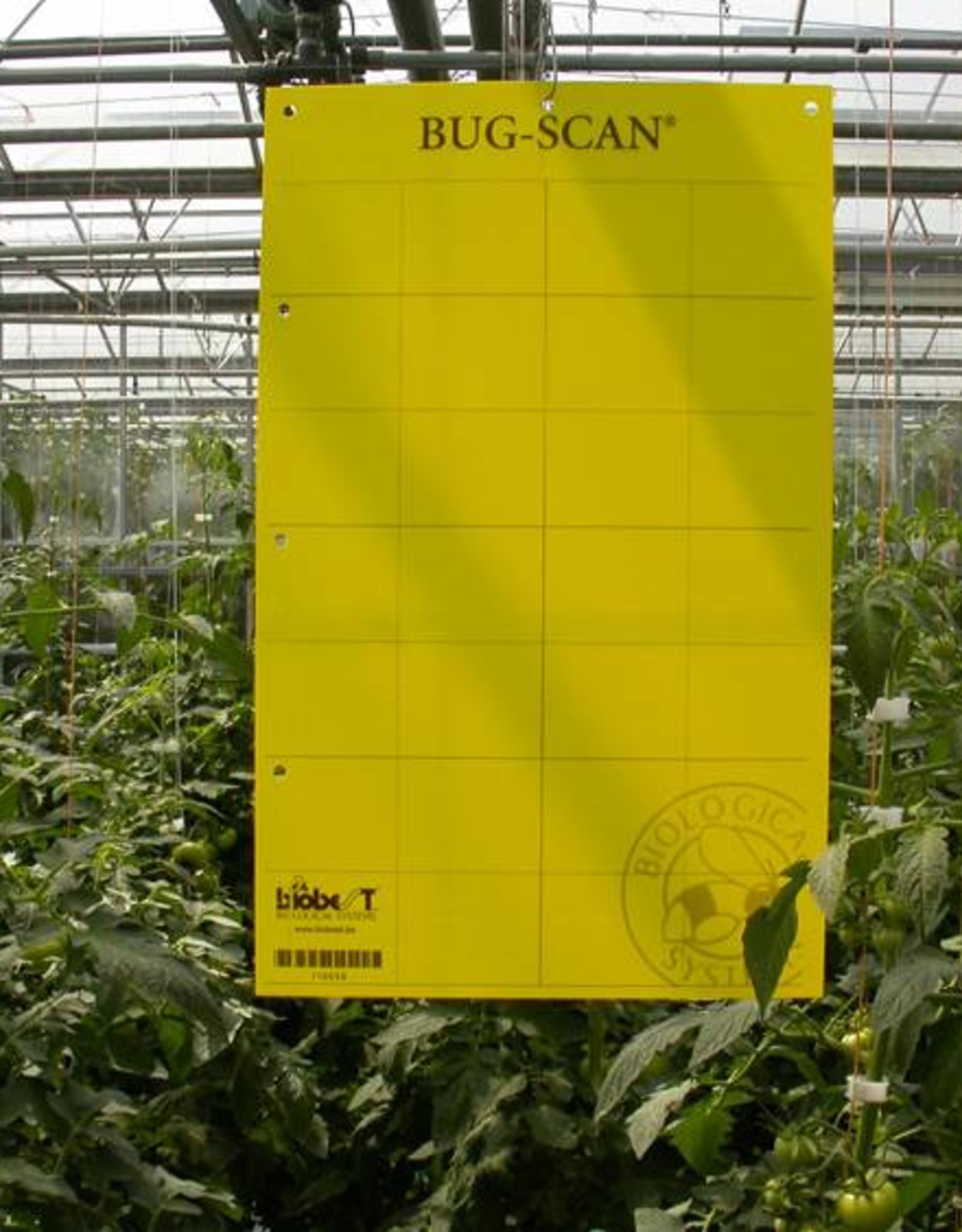 Brimex Bug Scan vangstrook vangplaten 20 stuks - Brimex