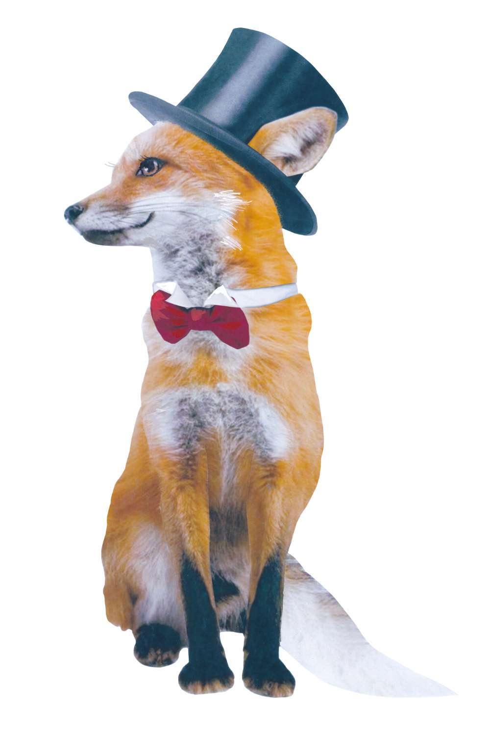 Sticky Tales Muursticker Victor de Sloddervos