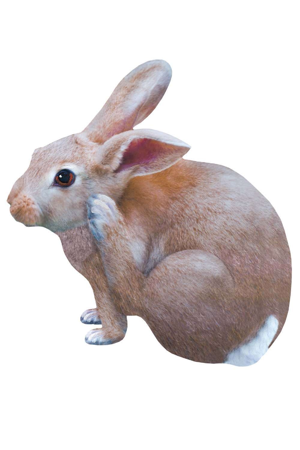 Sticky Tales Muursticker Konijn Tipi