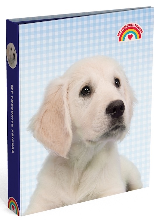 Honden ringband 2 rings - Schoolosaurus