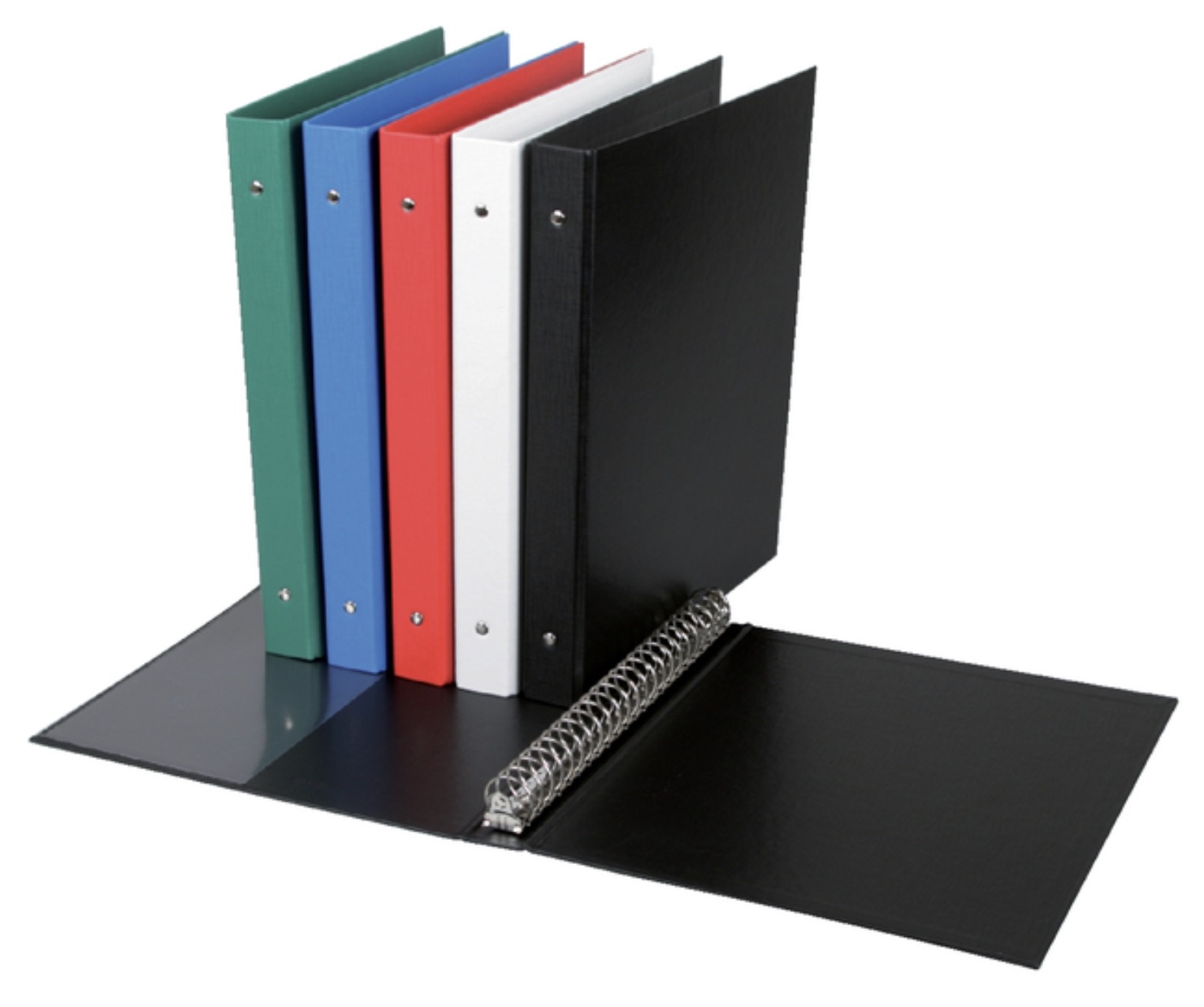 Gekleurde 23 rings map kopen? - Schoolosaurus