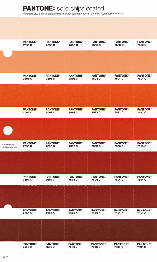 Pantone PMS Solid Chips vervangingspagina op coated papier 31C ...