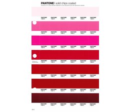 Pantone PMS Solid Chips vervangingspagina op coated papier 55C ...