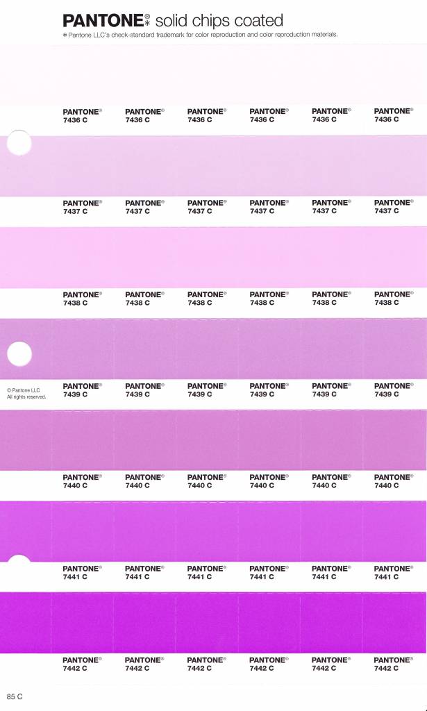 Pantone PMS Solid Chips vervangingspagina op coated papier 85C ...