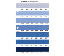 Pantone PMS Solid Chips vervangingspagina op coated papier 112C ...
