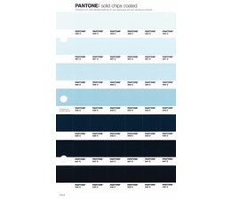 Pantone PMS Solid Chips vervangingspagina op coated papier 114C ...