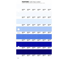 Pantone PMS Solid Chips vervangingspagina op coated papier 120C ...