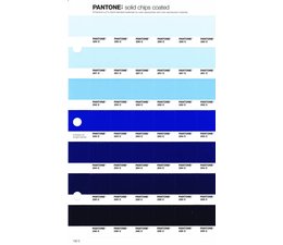 Pantone PMS Solid Chips vervangingspagina op coated papier 132C ...