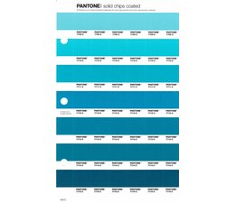 Pantone PMS Solid Chips vervangingspagina op coated papier 154C ...