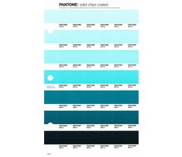 Pantone PMS Solid Chips vervangingspagina op coated papier 170C ...