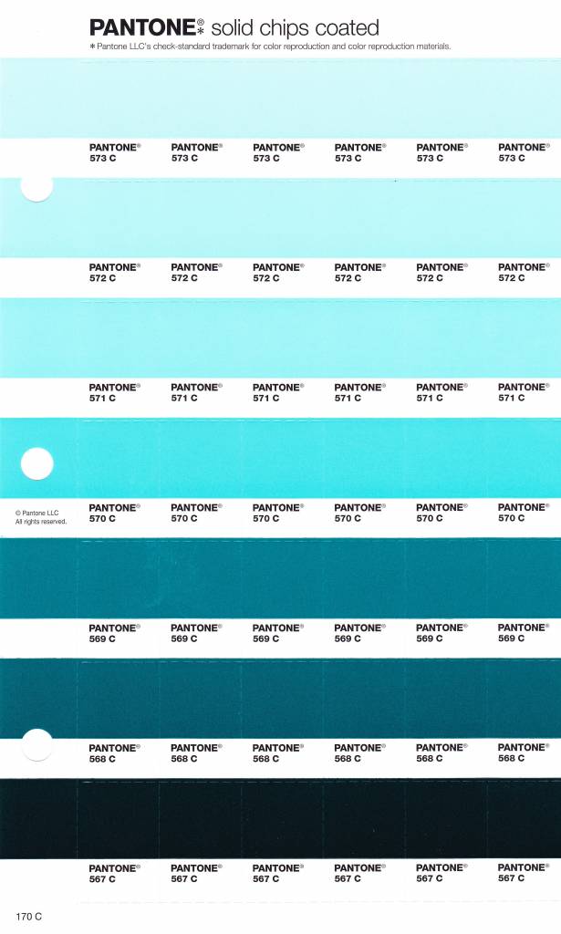 Pantone PMS Solid Chips vervangingspagina op coated papier 170C ...