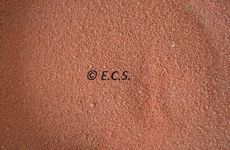 Carophyll Red - Europese Cultuurvogel Shop