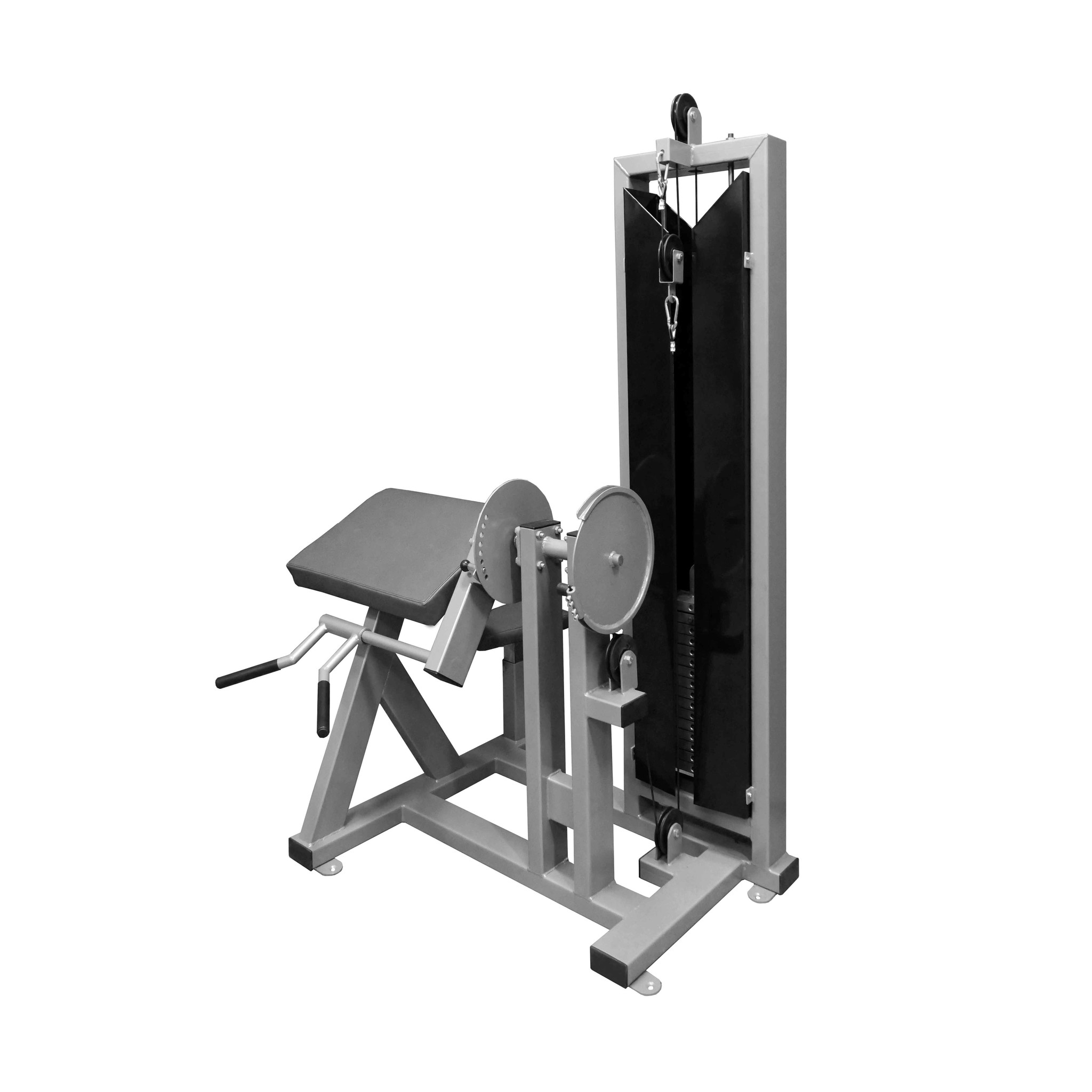 Biceps Curl Machine 3FX | SELECTORIZED - FITNESS PRODUCE - Professional ...