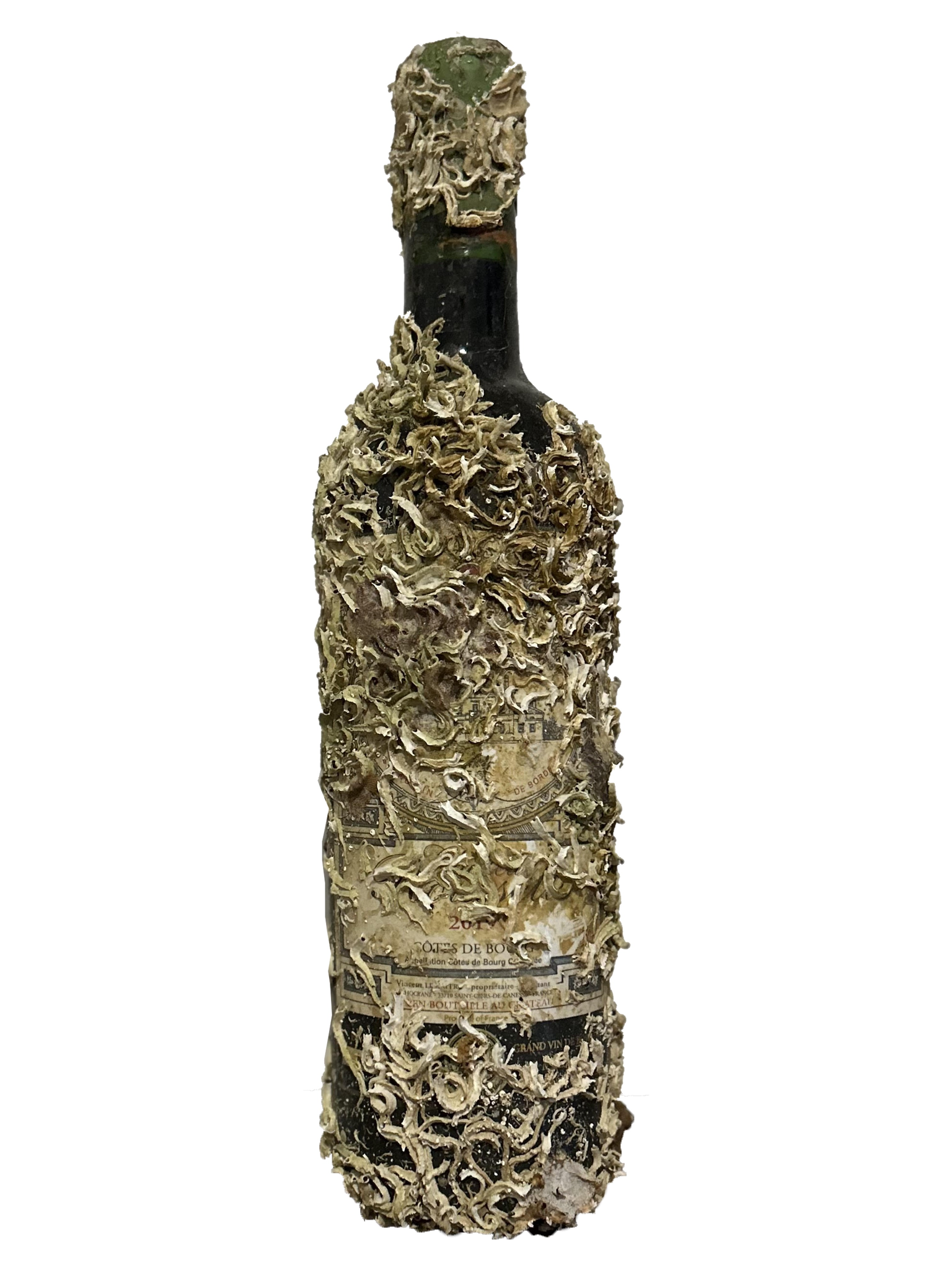 Bordeaux Château Rouselle Tradition - Coral Wine aged in Adriatic Sea ...