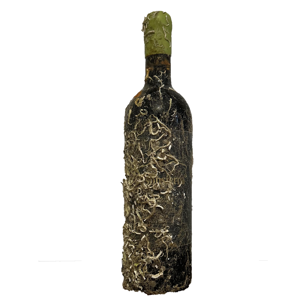 Rioja Reserva Bodegas Sonsierra - Coral Wine aged in Adriatic Sea - The ...