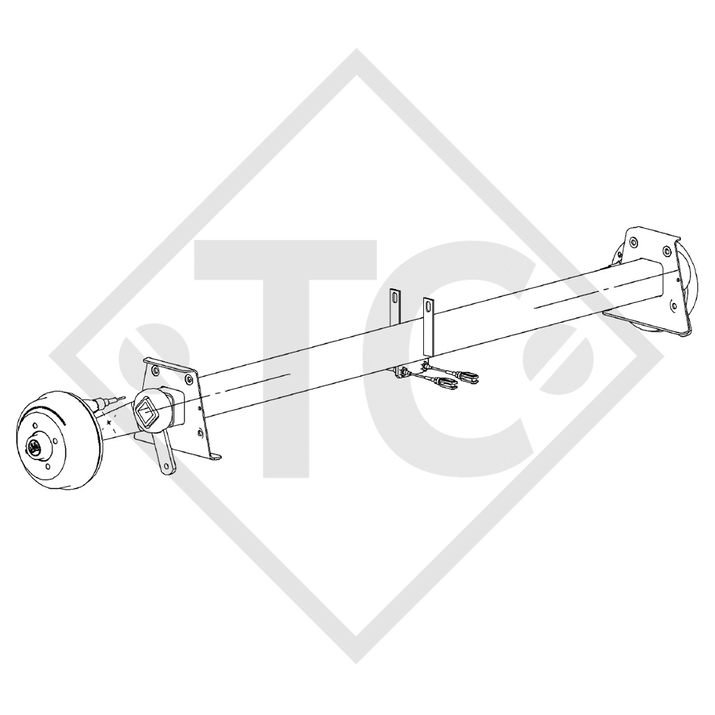 Braked axle SWING 1350kg axle type CB 1354, 46.24.379.314 - Trailer ...