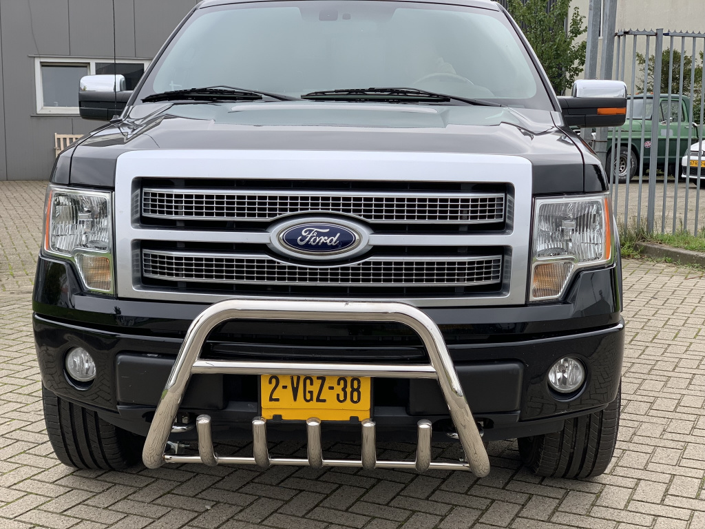 Ford F150 Pushbar Bullbar - Best-Carstyling
