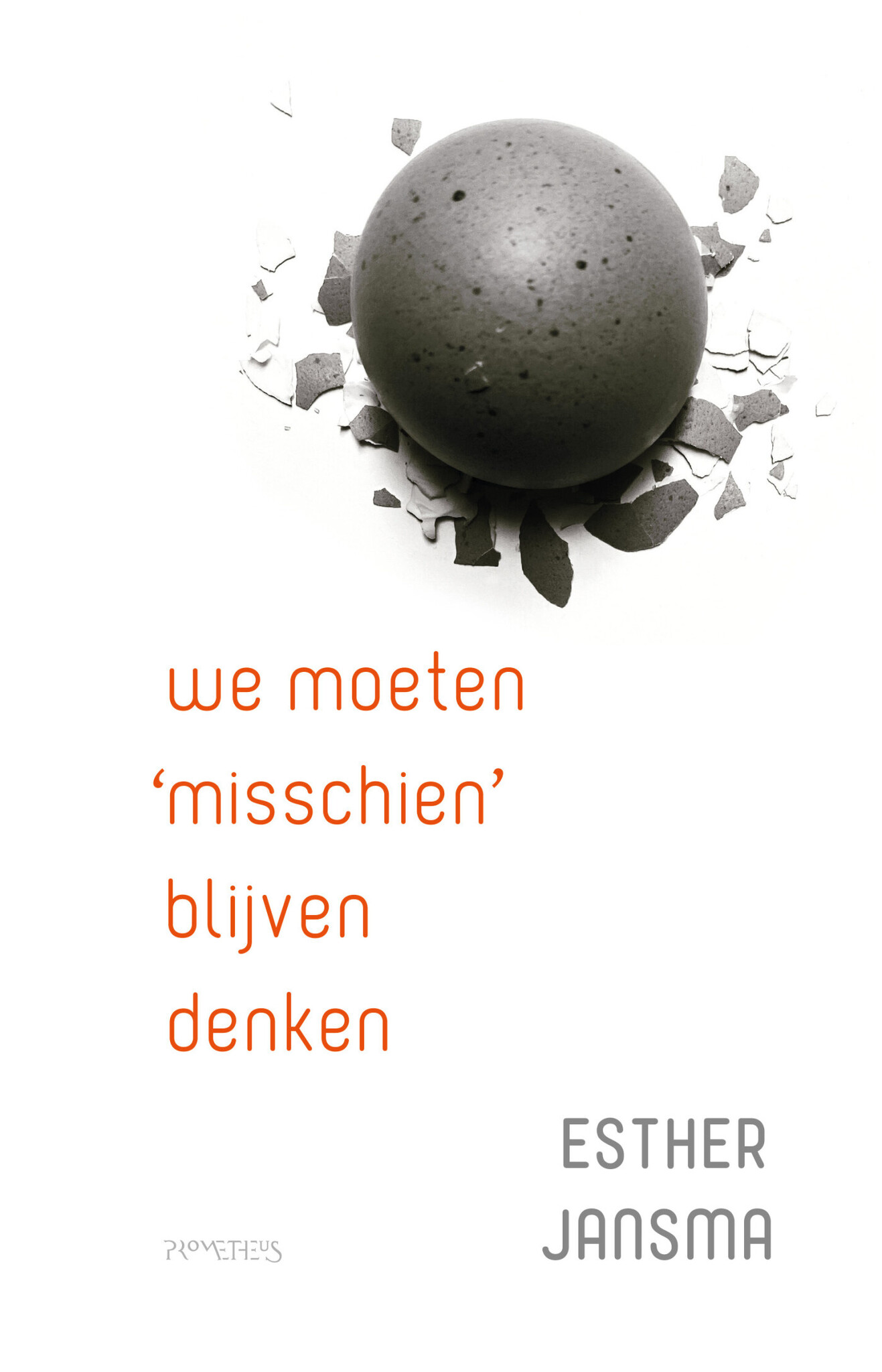 We moeten 'misschien' blijven denken - Boeklin