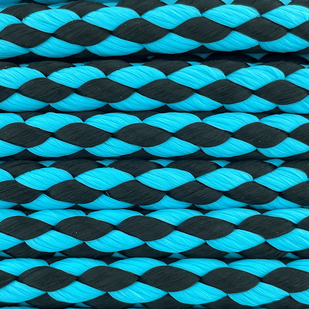 10MM Nylon Hondenlijn Donker Cyan Checkers - 123Paracord