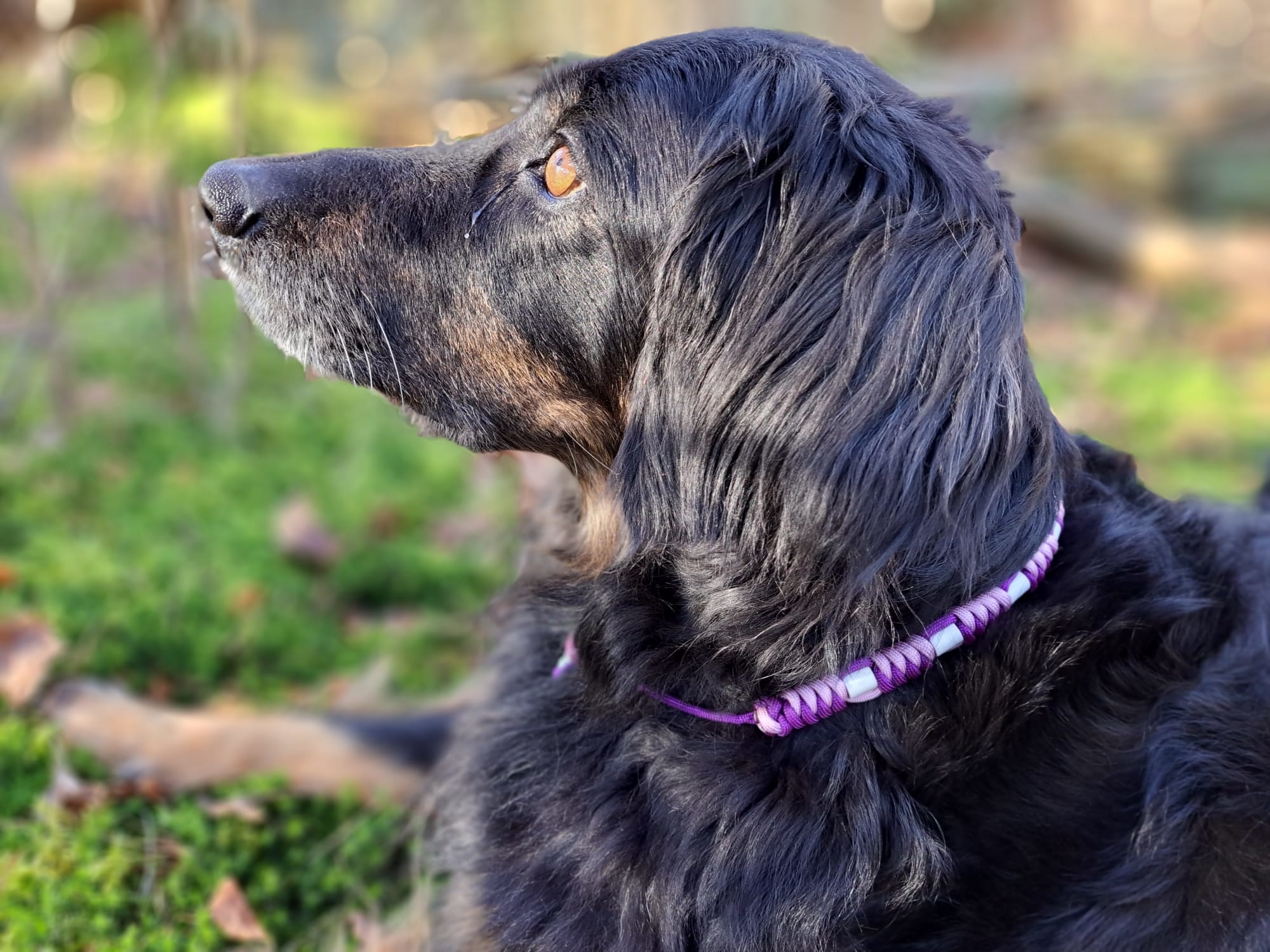 DIY anti-teek halsband Purplelicious/Pastel Lilac - 123Paracord