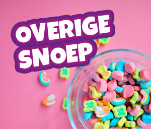 CandyOnline.nl | De lekkerste online snoepwinkel van Nederland en België
