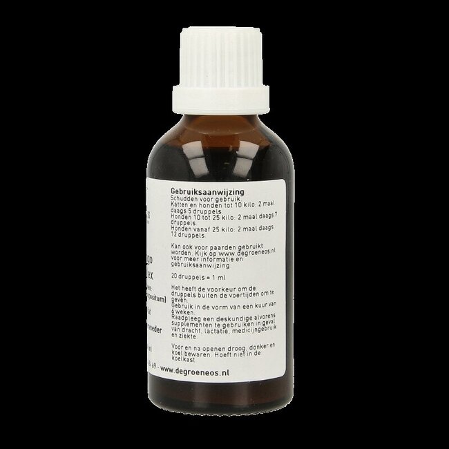 Groene Os Solidago complex hond/kat 50 Milliliter - VitAdvice BV