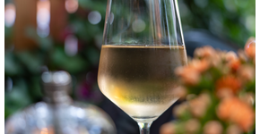 Wijn en Druif - Wijn en Druif - Wijnwinkel en Delicatessen