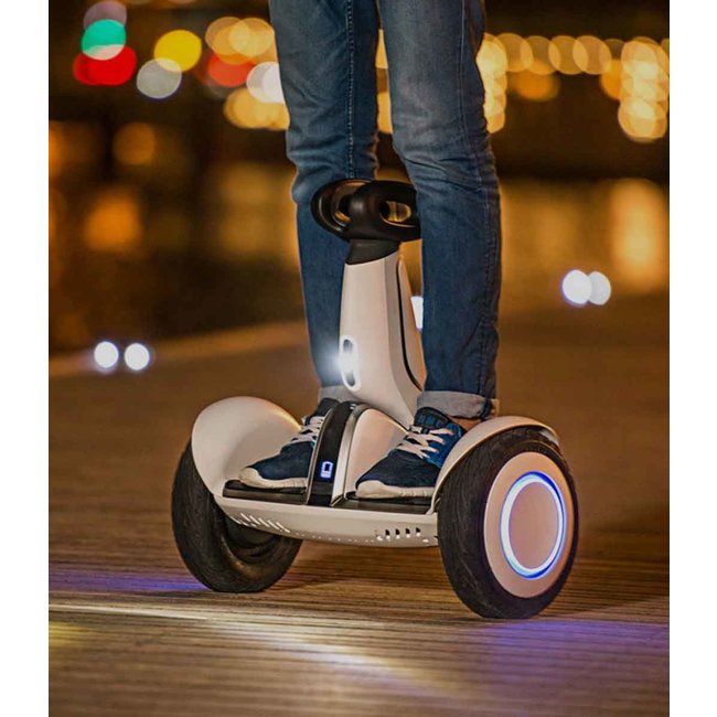 Segway-Ninebot S-Plus | Voltes.nl - Voltes