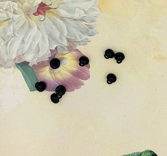 Antique Shoe Buttons - La Rose Passementarie