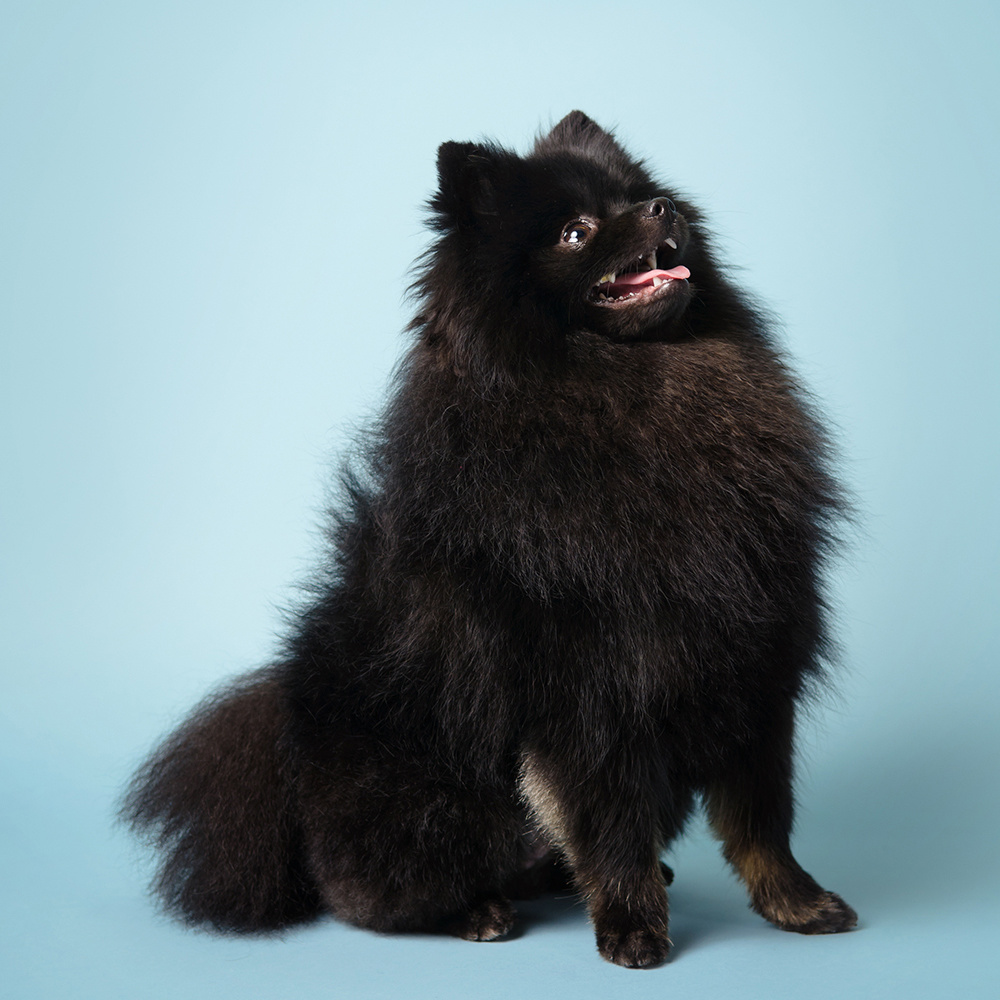 Savage Background Paper 2.18 x 11m Sky Blue # 02 - FotoFlits