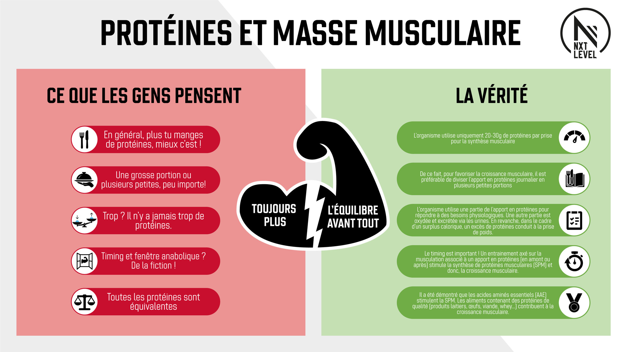 Tout savoir sur les protéines - NXT Level Sports Nutrition Tout savoir sur les protéines - NXT Level Sports Nutrition