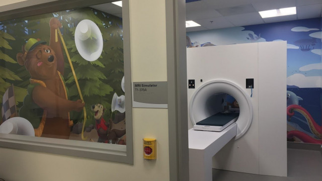 MRI Simulator - Science Plus Group bv