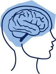 CogniPlus - Science Plus Group bv