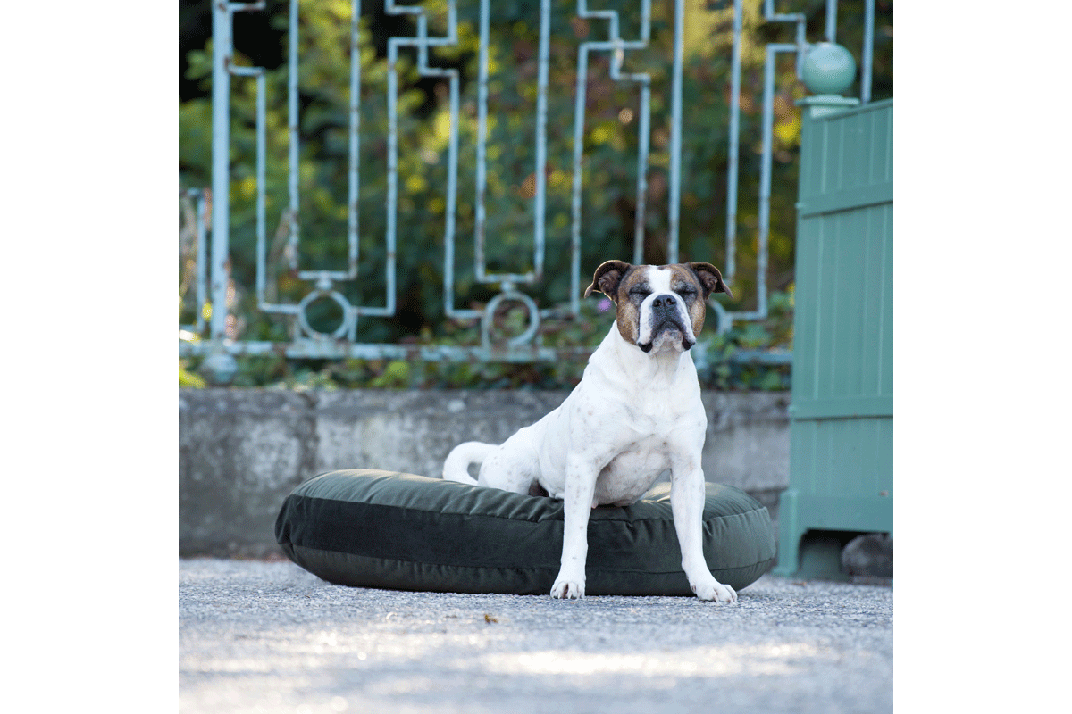 Laboni Design Luna Hundekissen Samt Olive - The Pet Empire