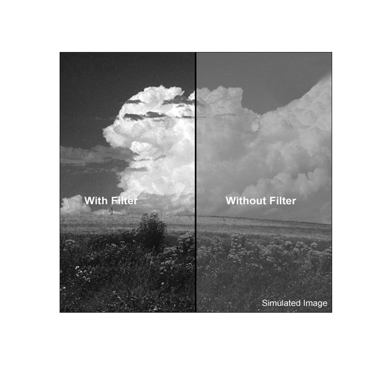 Tiffen Filters Clear Solid Red 2 Filter is part of Tiffen's award ...