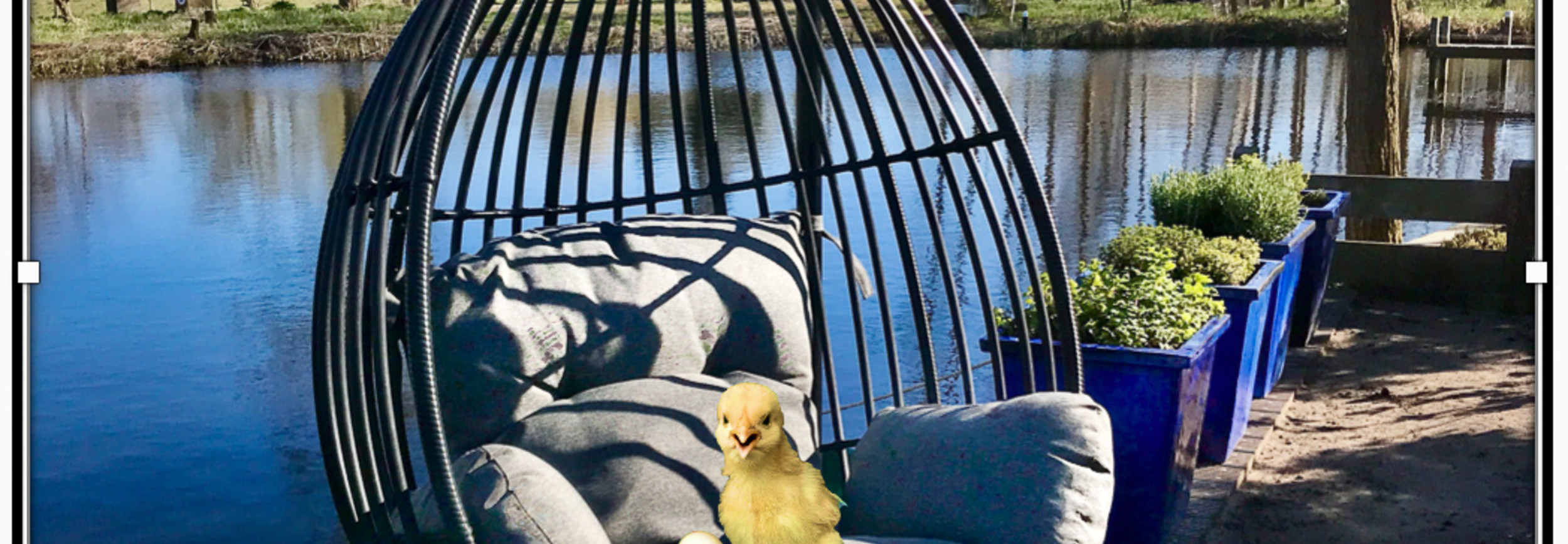 De 10 beste tips voor het inrichten van jouw tuin - AVH Outdoor ...