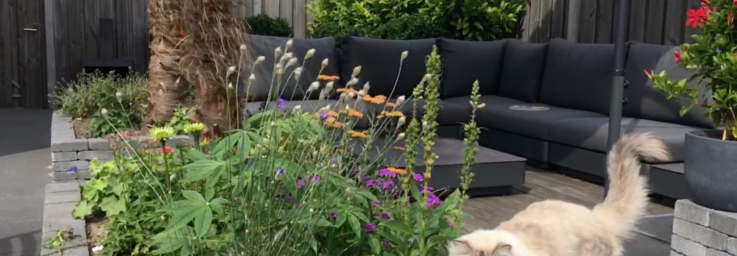 De beste zorg voor je moestuin - AVH Outdoor Tuinmeubelen