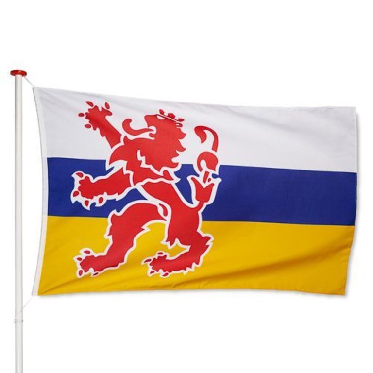 Limburgse vlag kopen? MORGEN in huis? Ruime keuze & Gratis … - Vlaggen Unie