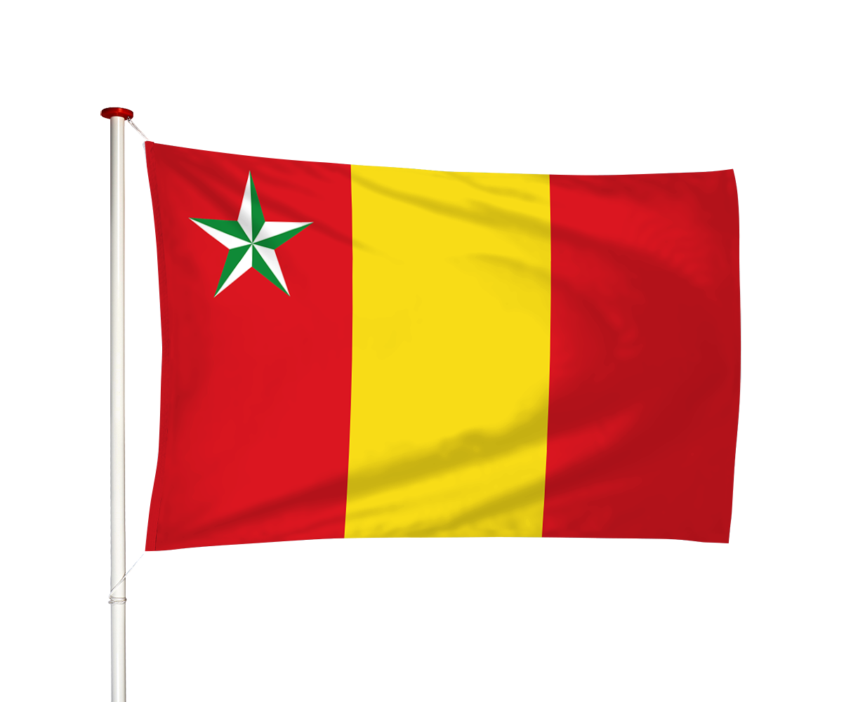Vlag Elsloo - Vlaggen Unie