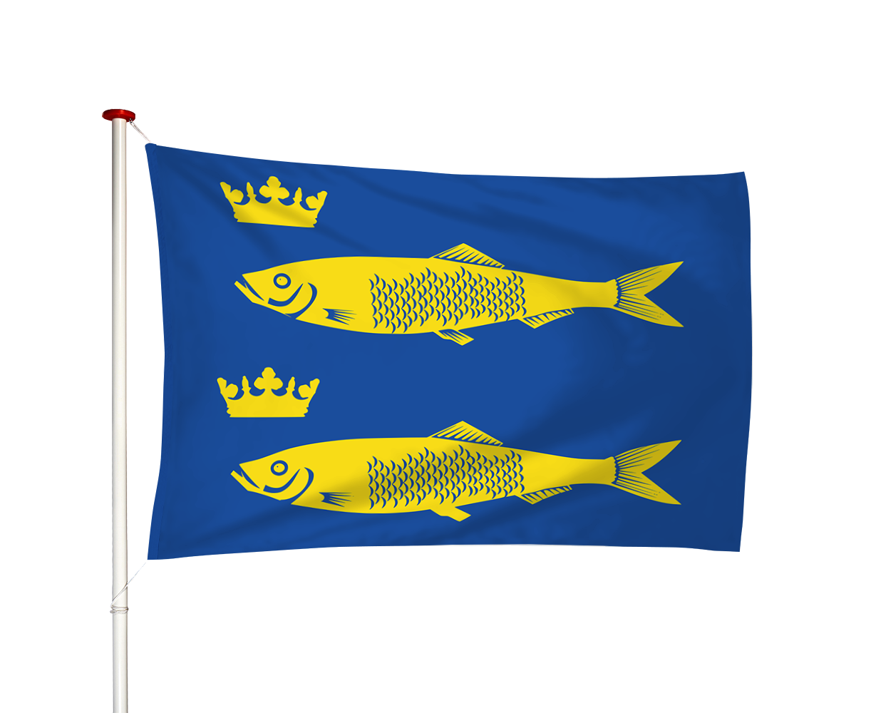 Vlag De Rijp - Vlaggen Unie